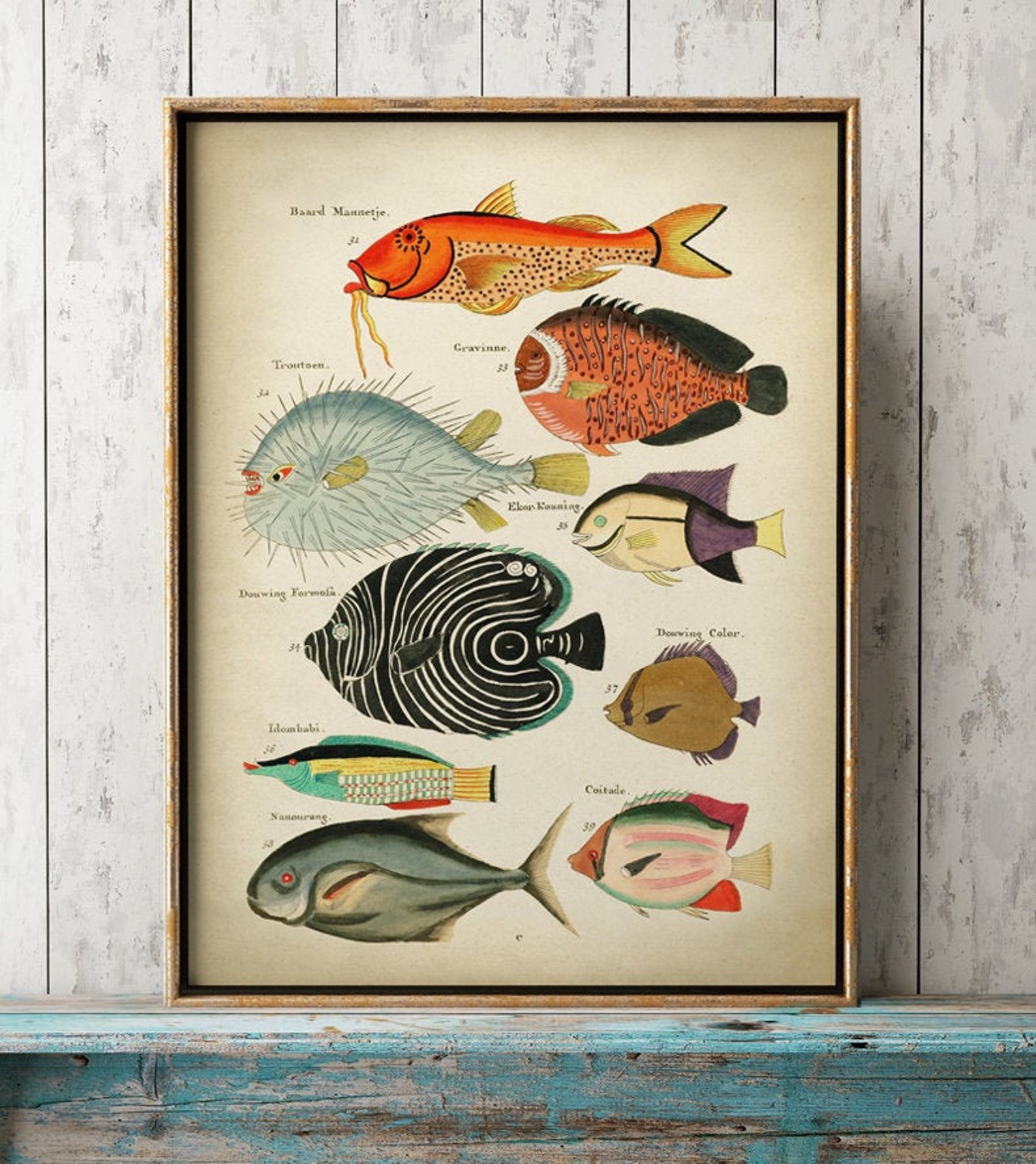 Exotic Fishes Art Print Colorful Odd Fishes Poster Curious | Etsy