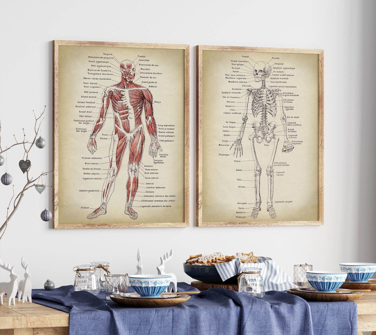 Anatomy Print SET of 2 Anatomical Poster Muscles and | Etsy