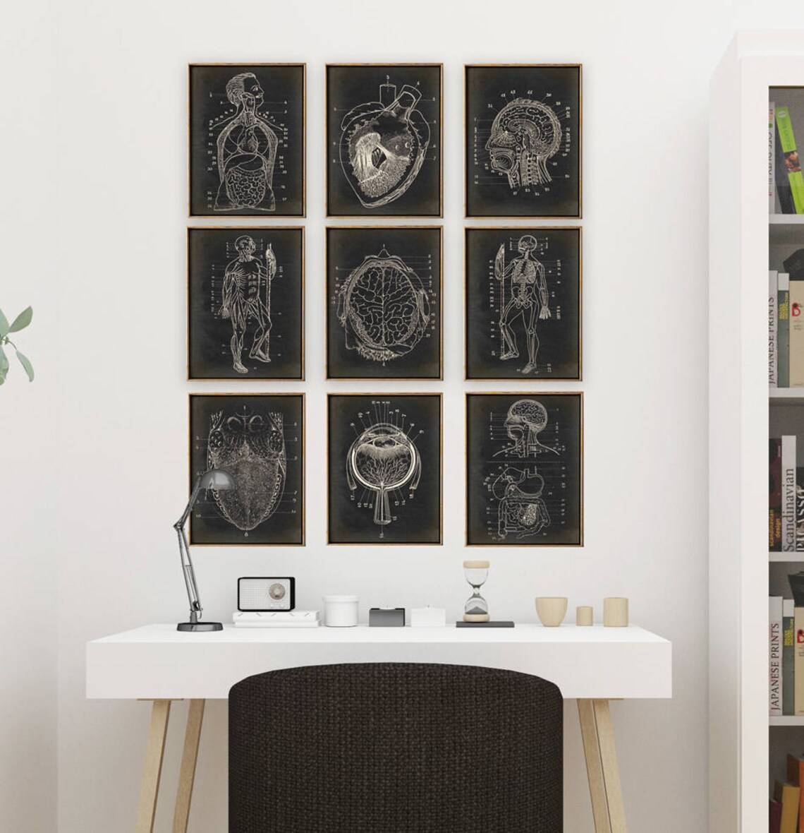 ANATOMY Print SET of Nine Anatomy Charts Anatomy Poster - Etsy