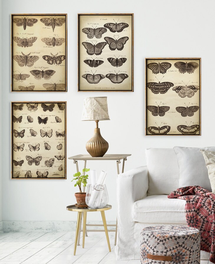 Large Butterfly Print Butterfly Poster A3 Butterflies Wall | Etsy