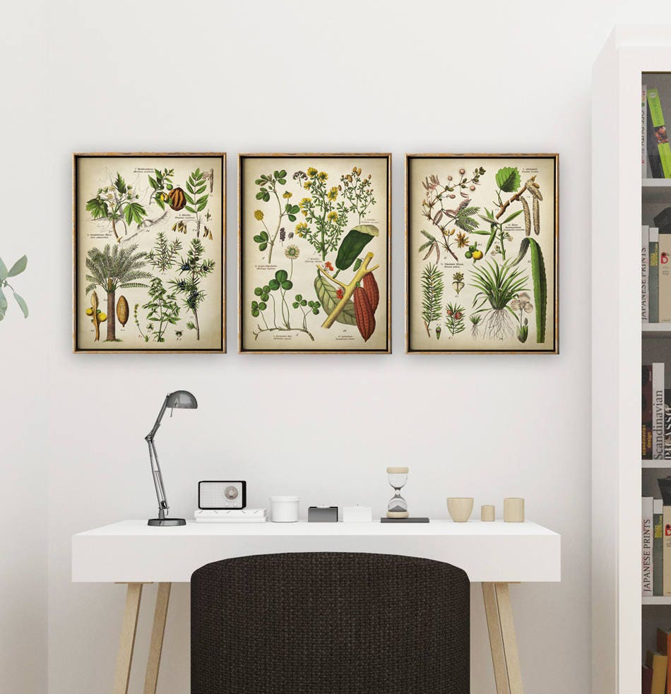 BOTANICAL Print Set of 3 Botanical Set Flower Print Set of | Etsy