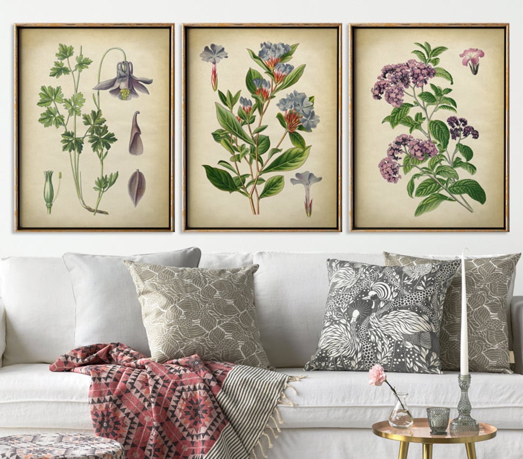 Botanical Print Set of 3, Flower Print Set, Botanical Poster, Botanical ...