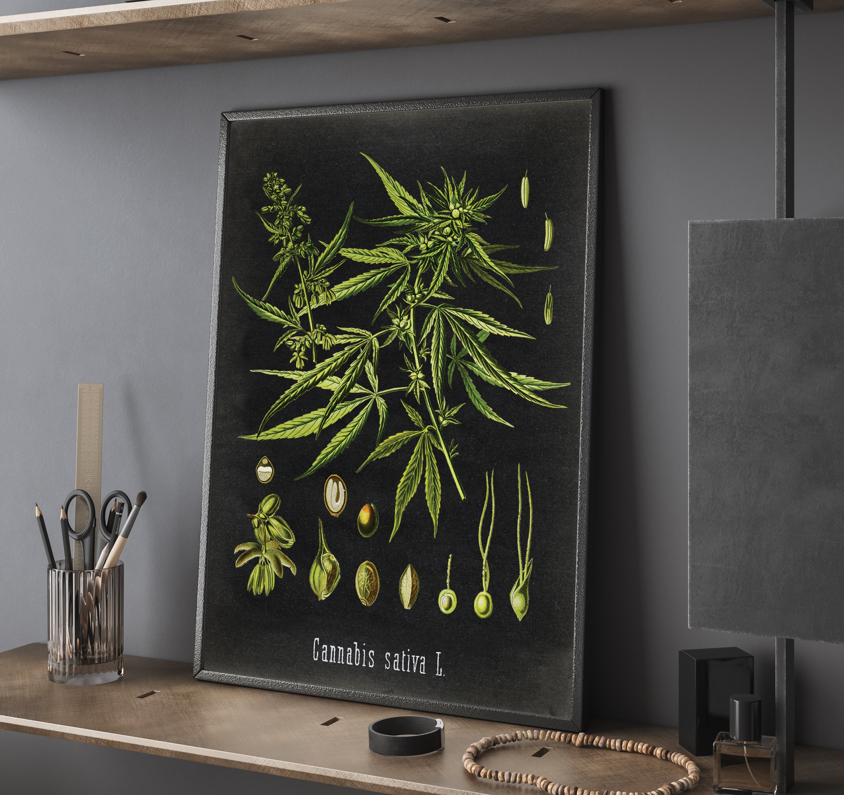 Cannabis Sativa Botanical Print Cannabis Print Black - Etsy