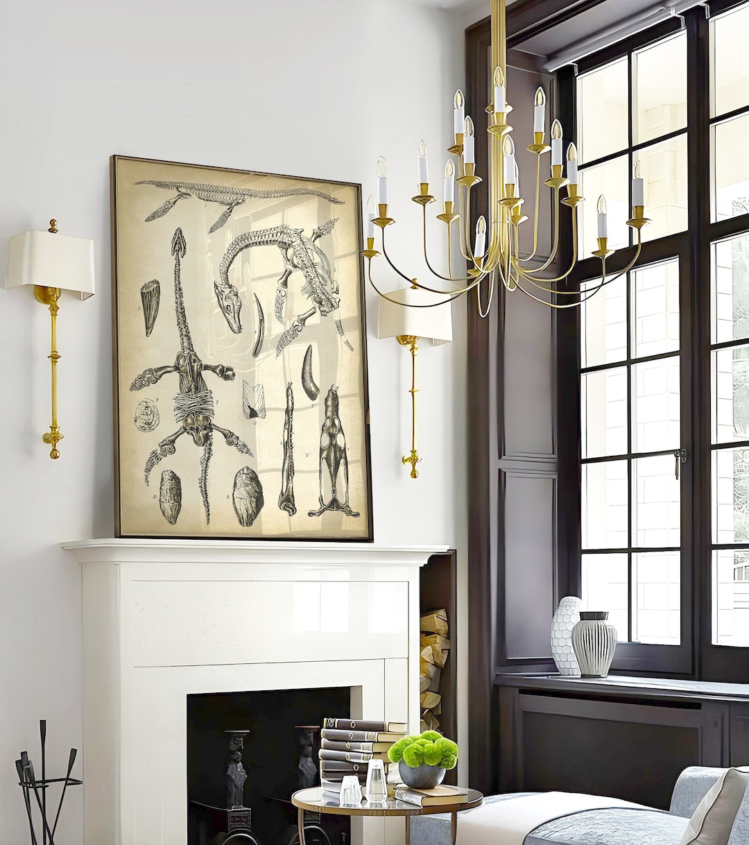 Prehistoric Reptile Skeleton Print, Paleontology Fossil Poster, Vintage ...