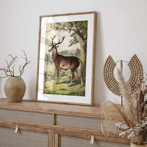 Deer Print, Bucolic Deer Landscape Poster, Forest Animal Painting ...