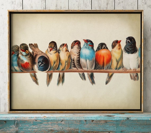 Birds Line Print Lovely Birds on a Cable Illustration Home | Etsy