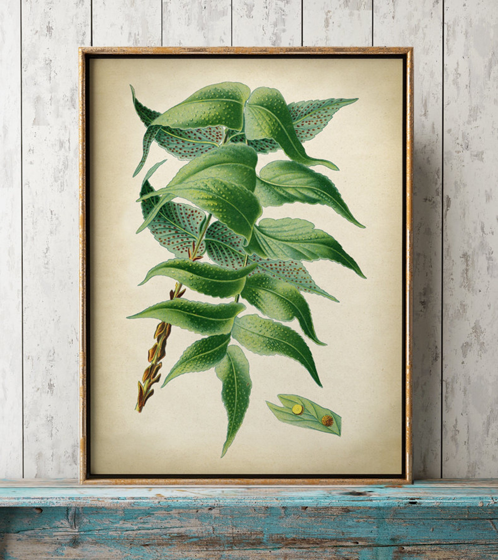 BOTANICAL Print SET of 4 Green Plants Prints Flower | Etsy