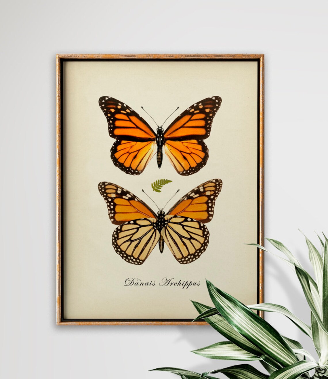 Butterfly Print Butterfly Poster Insects Print Orange | Etsy