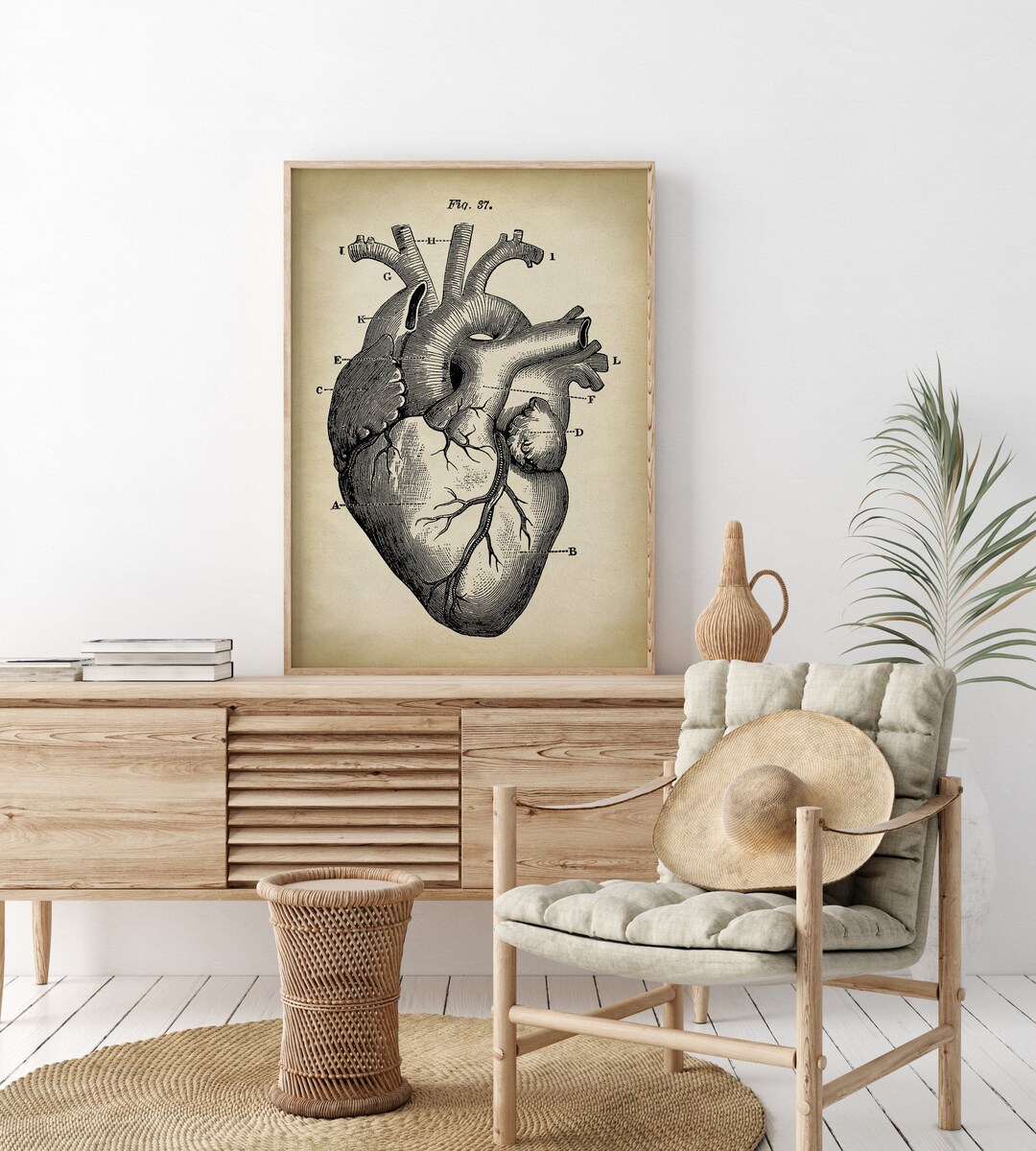 Heart Anatomy Print, Heart Print, Anatomical Drawing, Anatomy Poster ...
