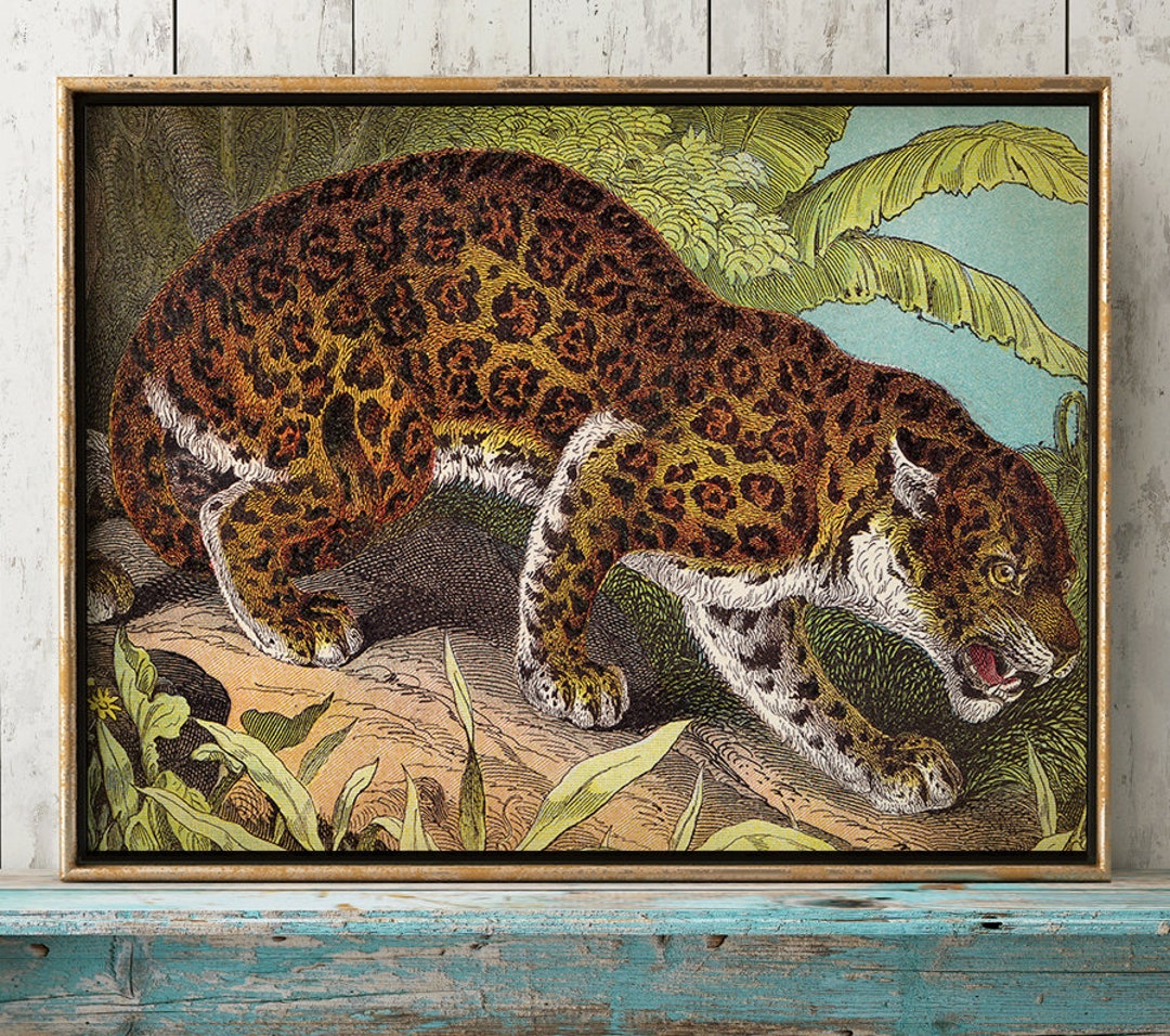 Vintage Style Leopard Print: Wild Cat Giclée Poster - Etsy