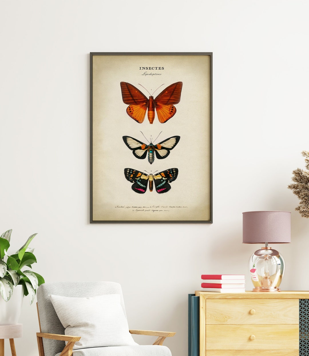 Butterflies Poster, Lepidopteres Chart, Insects, Insectes, Print ...
