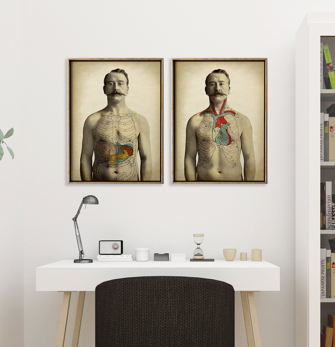 Anatomy Poster SET: Mustache Men Vintage Photo, Human Body Chart - Etsy