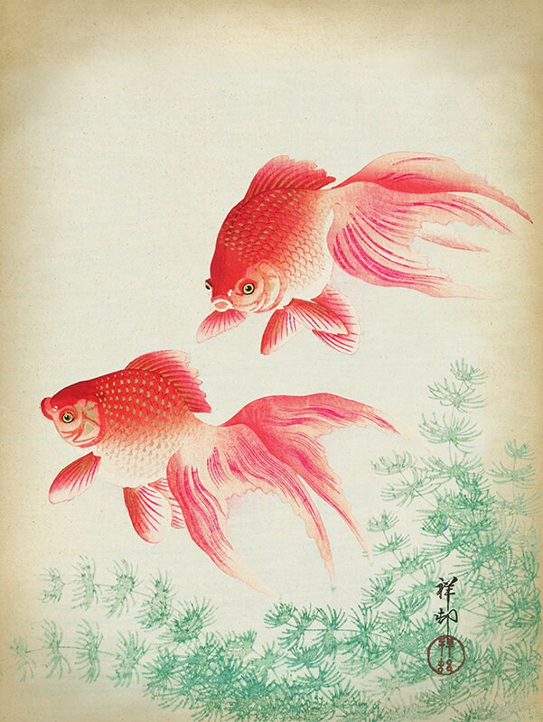 Japanese Carp Art Print Koi Fish Poster Japanese Woodblock - Etsy