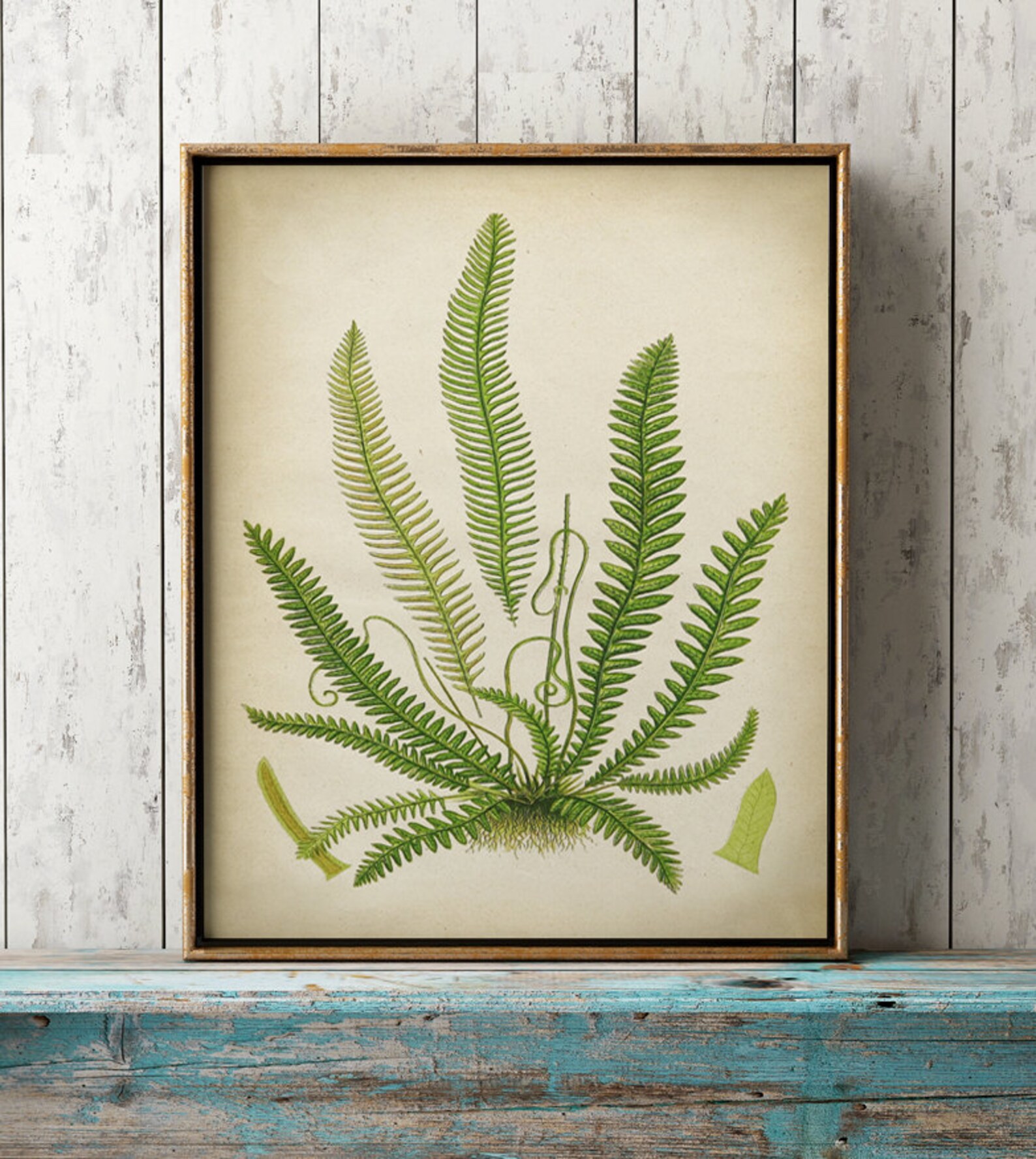 Botanical Print SET of 3 Art Posters Fern Print Set - Etsy