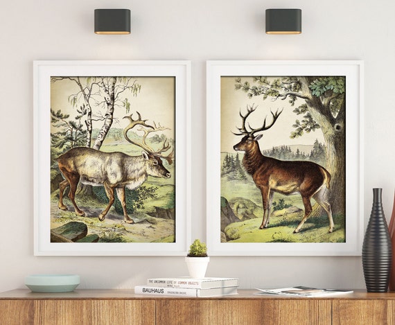 Deer prints store