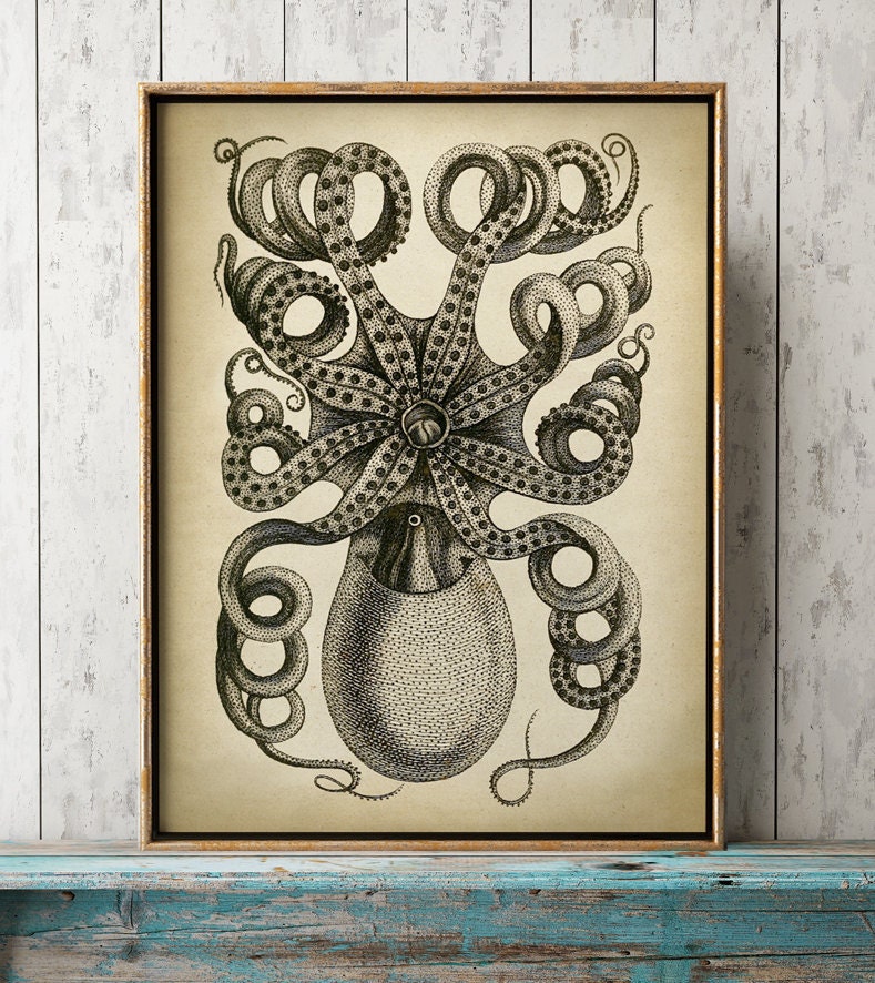 OCTOPUS Print SET of 2 Octopus Poster Marine Decor Nautical - Etsy