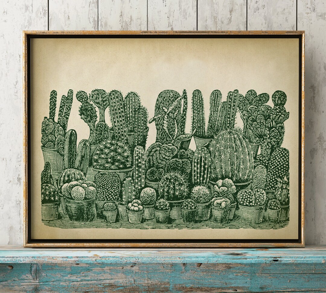 Cactus Study Giclée Print: Botanical Art Poster - Etsy