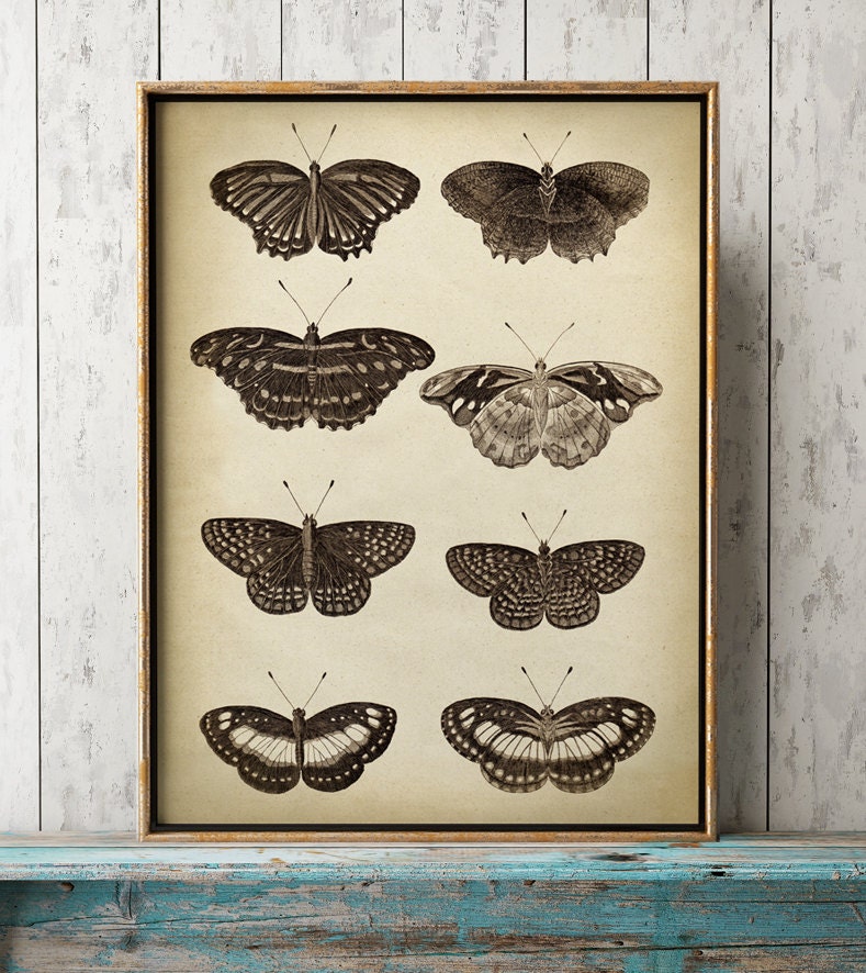 Butterfly Print Set of 3 Butterfly Poster Butterfly Print - Etsy