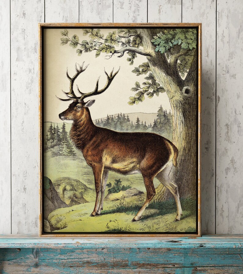 Deer Print Deer Poster Animal Poster Deer Painting Vintage | Etsy