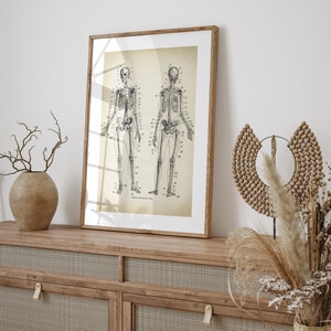 Human Anatomy Print, Skeleton Poster, Bones, Medical Wall Art, Doctor ...