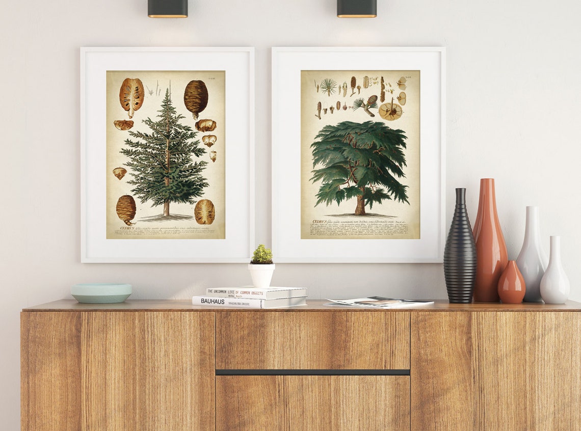 Cedar Tree Botanical Print SET of 2 Cedar Print Old Trees | Etsy