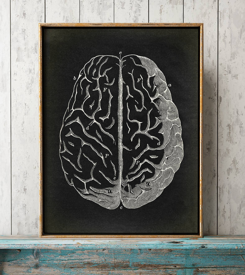 ANATOMY PRINT SET of Four Anatomy Charts Anatomy Poster | Etsy