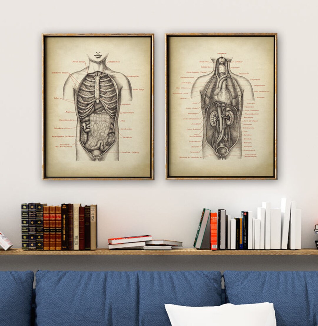 Anatomy Poster SET of 2, Anatomical Print, Human Body Chart, Anatomy ...