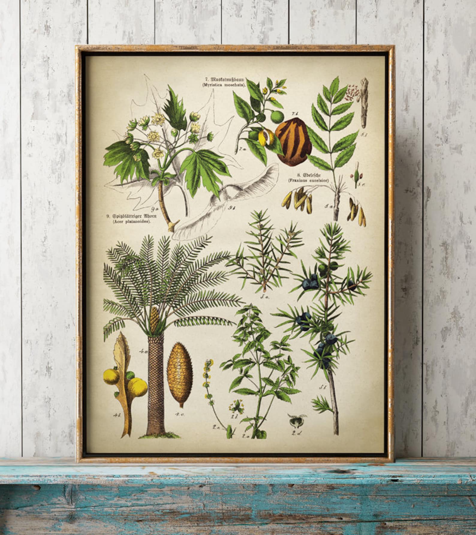 BOTANICAL Print Set of 3 Botanical Set Flower Print Set of | Etsy
