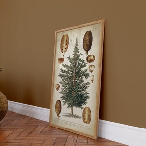 Cedar Tree Botanical Print SET of 2, Vintage Aesthetic Botanical ...