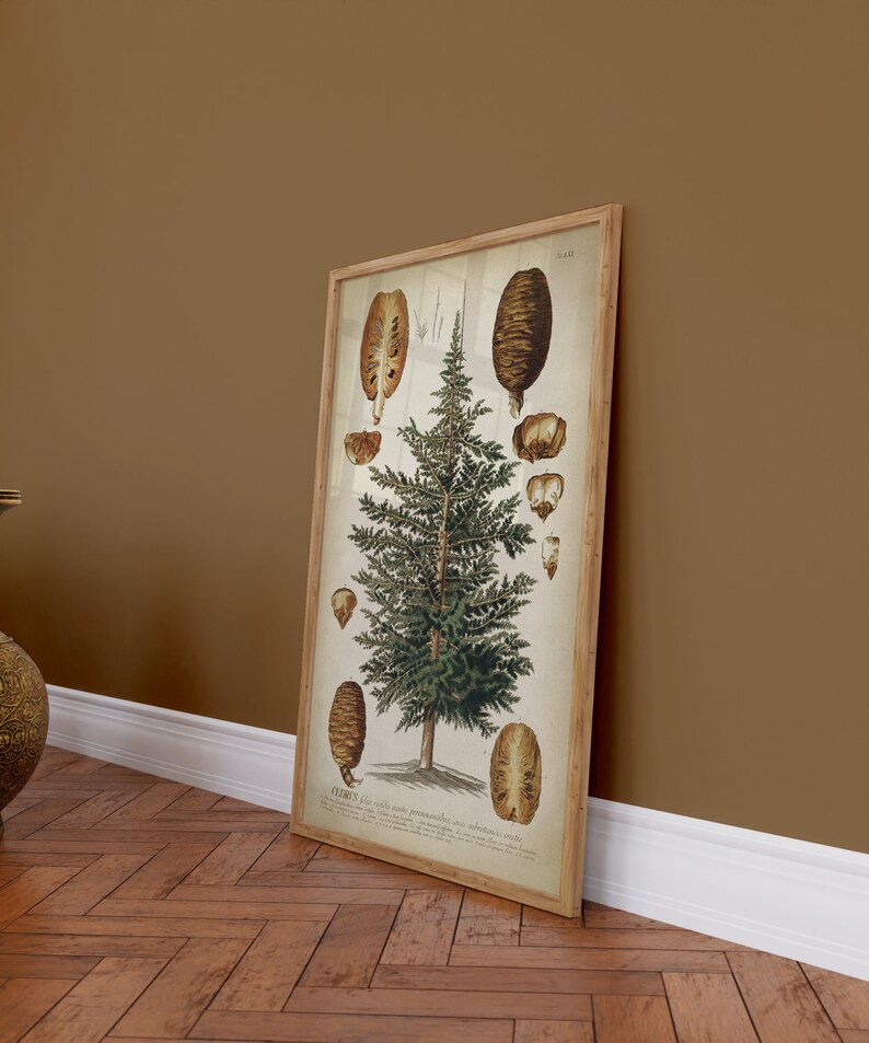 Cedar Tree Botanical Print SET of 2 Cedar Print Old Trees - Etsy
