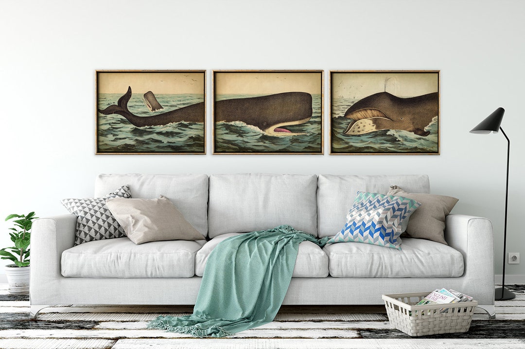 WHALE PRINT SET 3 Whales Set Poster Whale Poster Coastal - Etsy