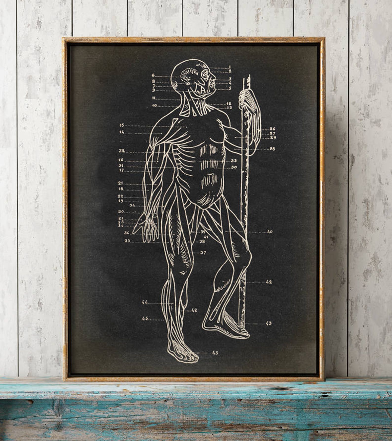 ANATOMY Print SET of Nine Anatomy Charts Anatomy Poster - Etsy