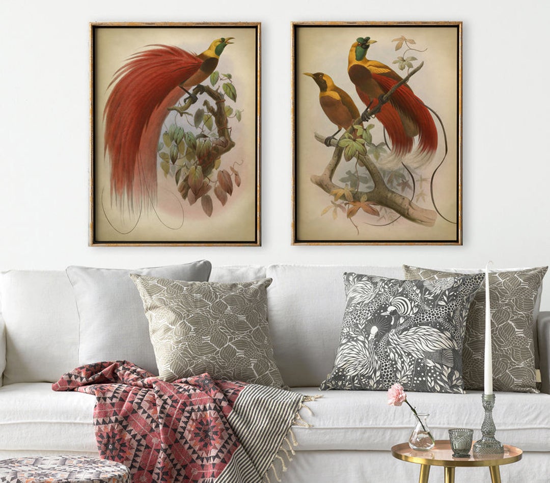Paradisebirds Custom Sets