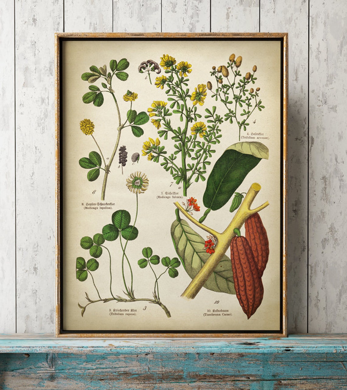 BOTANICAL Print Set of 3 Botanical Set Flower Print Set of - Etsy