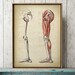 LEGS ANATOMY Print SET of 2, Anatomical Chart Print, Medical Print ...