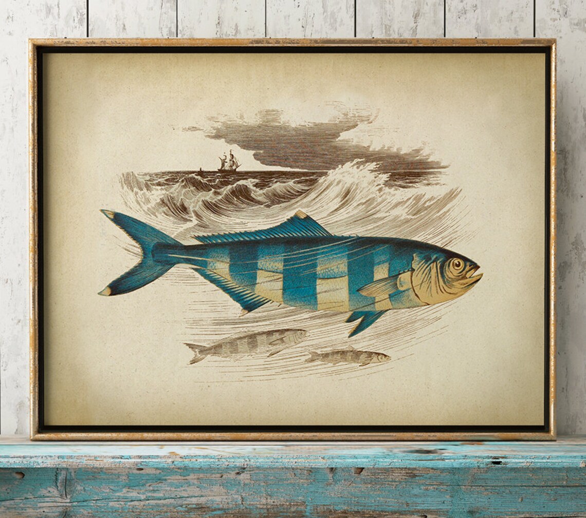 Sea life Print SET 3 Poster Crab Poster Lobster Print | Etsy