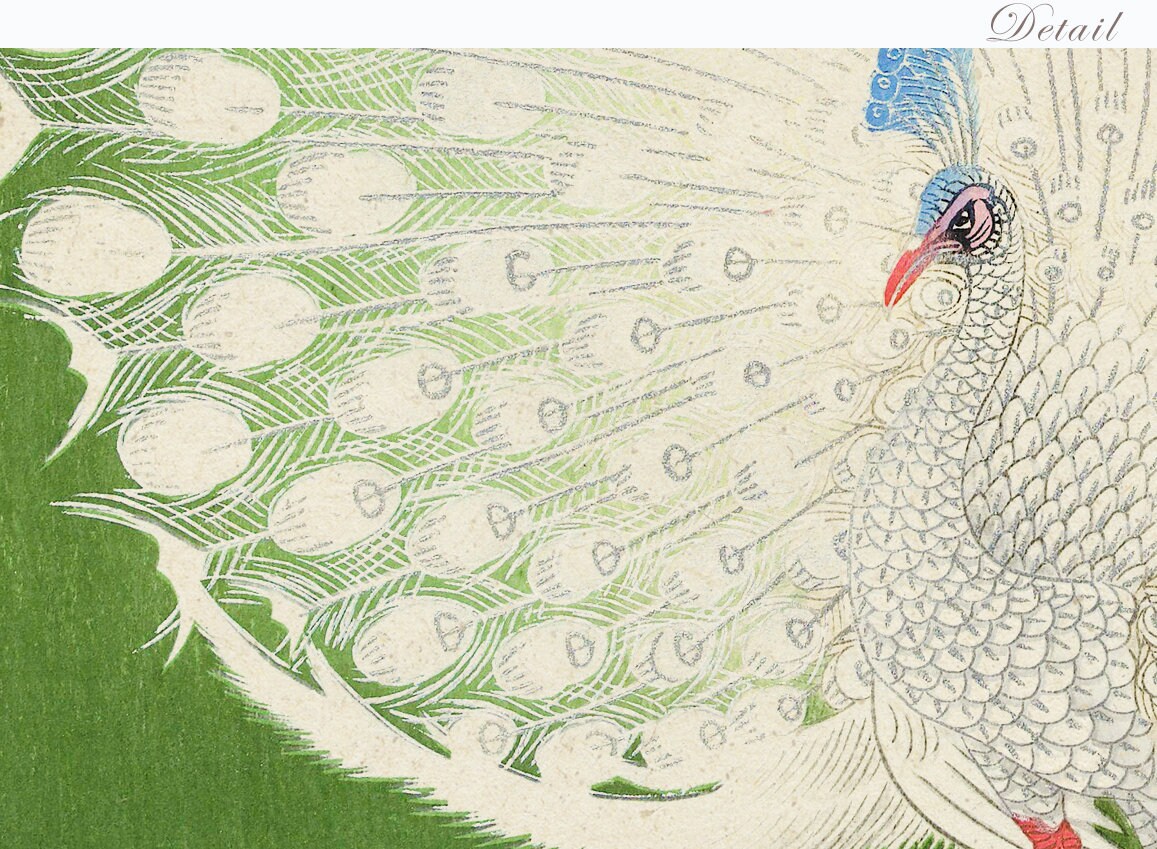 Japanese White Peacock Art Print White Bird Art Japanese Etsy