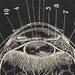 Eye Anatomy Poster, Eyeball Chart, Scientific Illustration, Anatomical ...