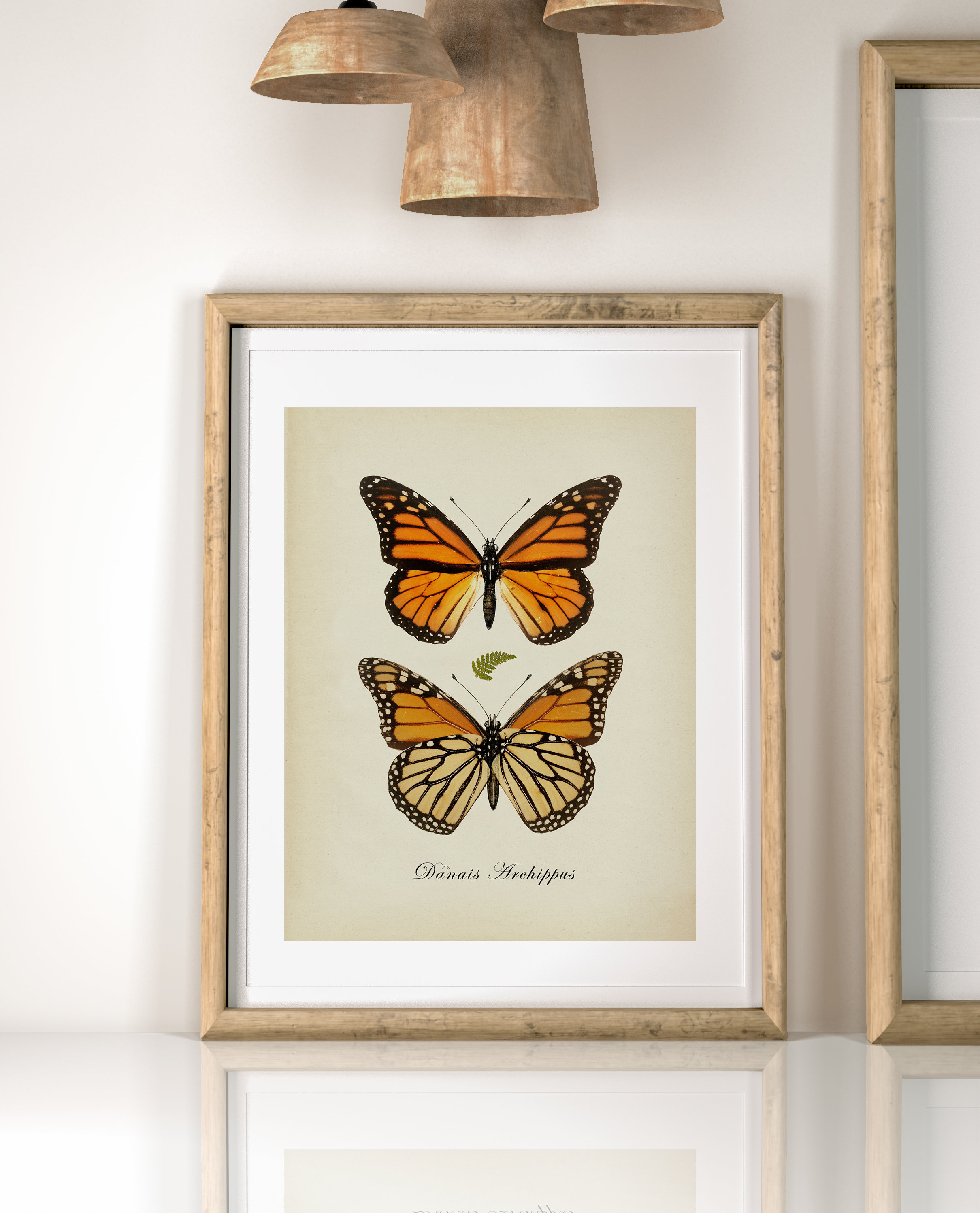 Butterfly Print Butterfly Poster Insects Print Orange | Etsy