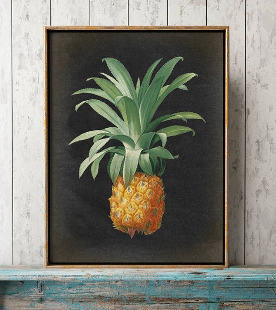 PINEAPPLE Botanical Poster Tropical Fruit Print Botanical | Etsy