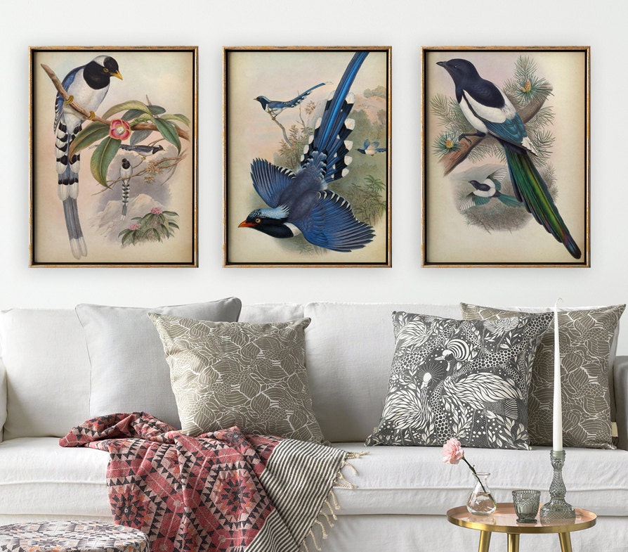 TROPICAL BIRD Print SET of 3 Exotic Bird Poster Blue Bird - Etsy
