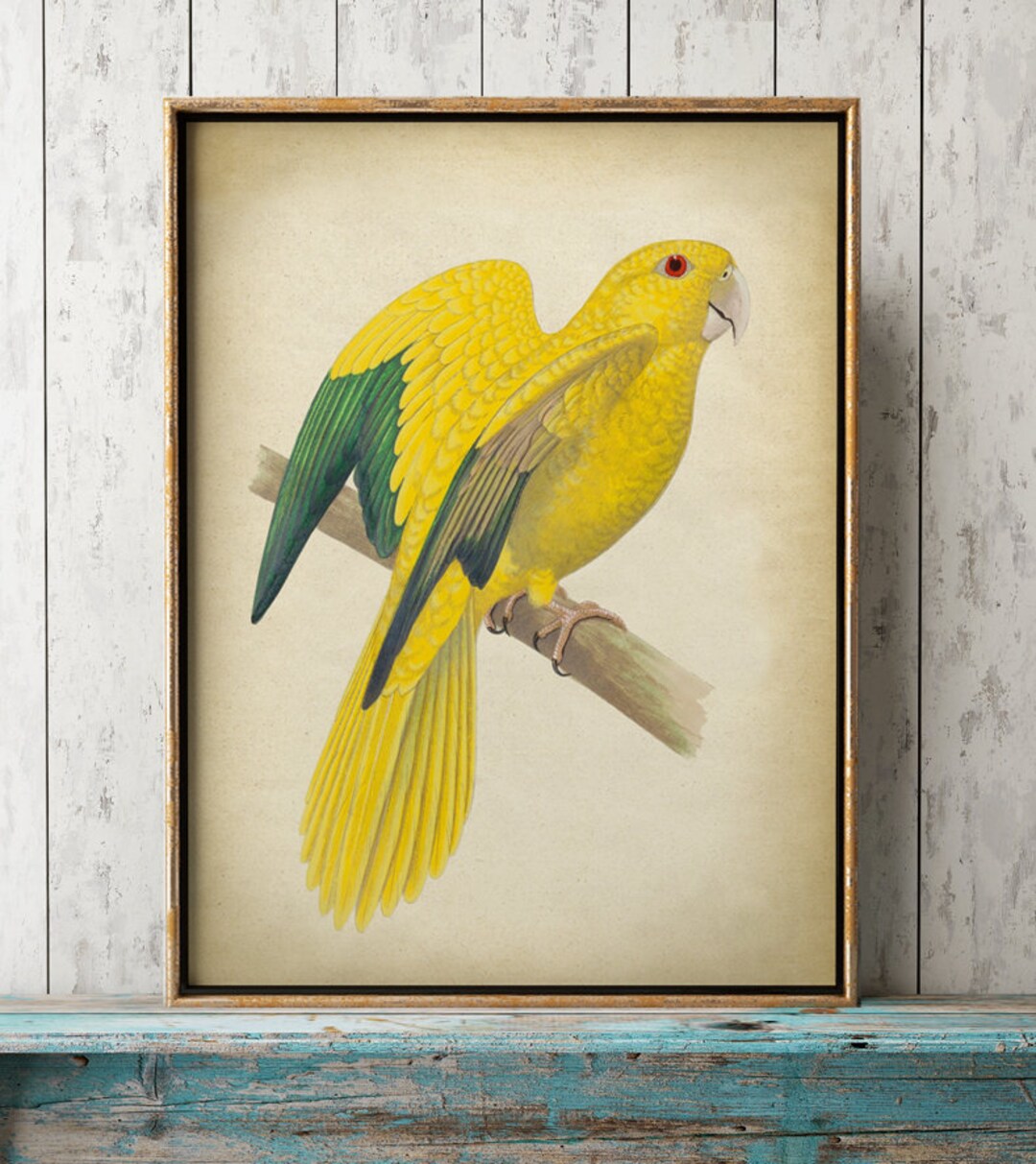 YELLOW PARROT Print, Tropical Parrot Poster, Exotic Bird Print, Parrot ...