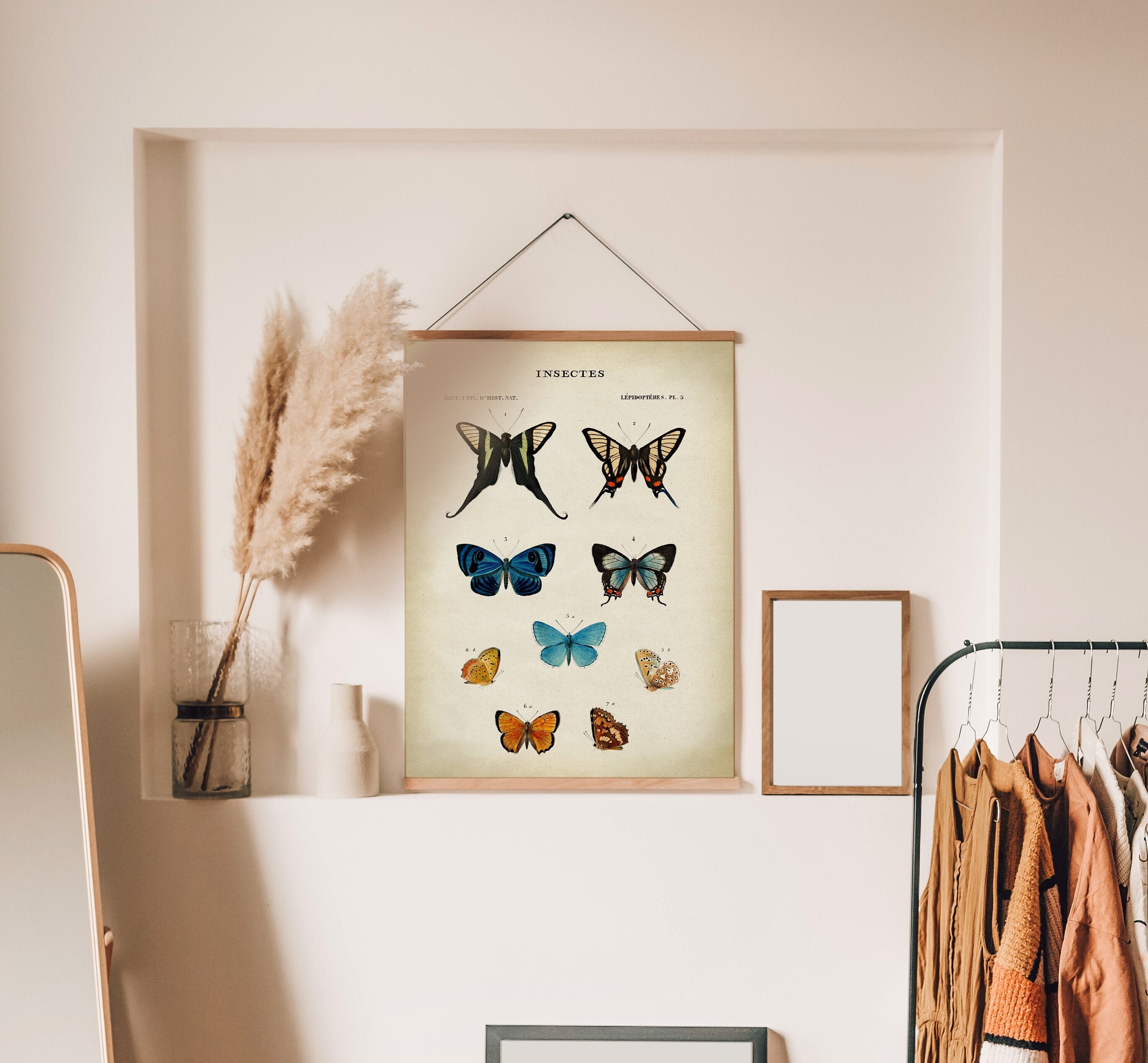 Butterflies Poster Lepidopteres Chart Insects Insectes - Etsy