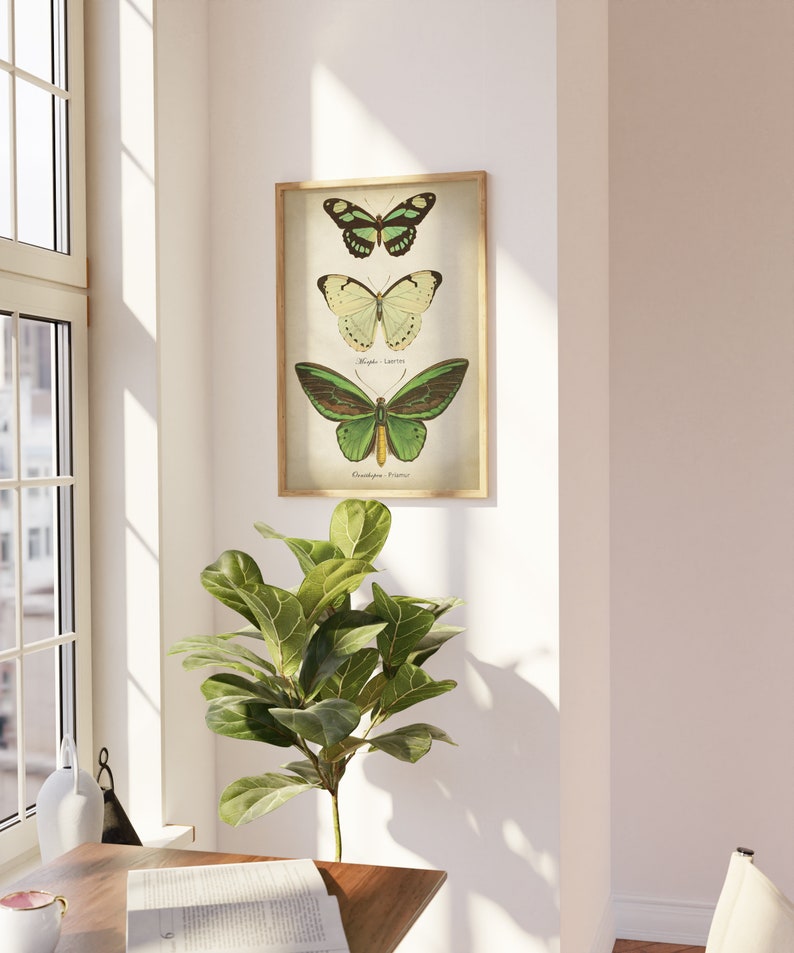 Butterfly Print Butterfly Poster Green Butterflies Wall - Etsy