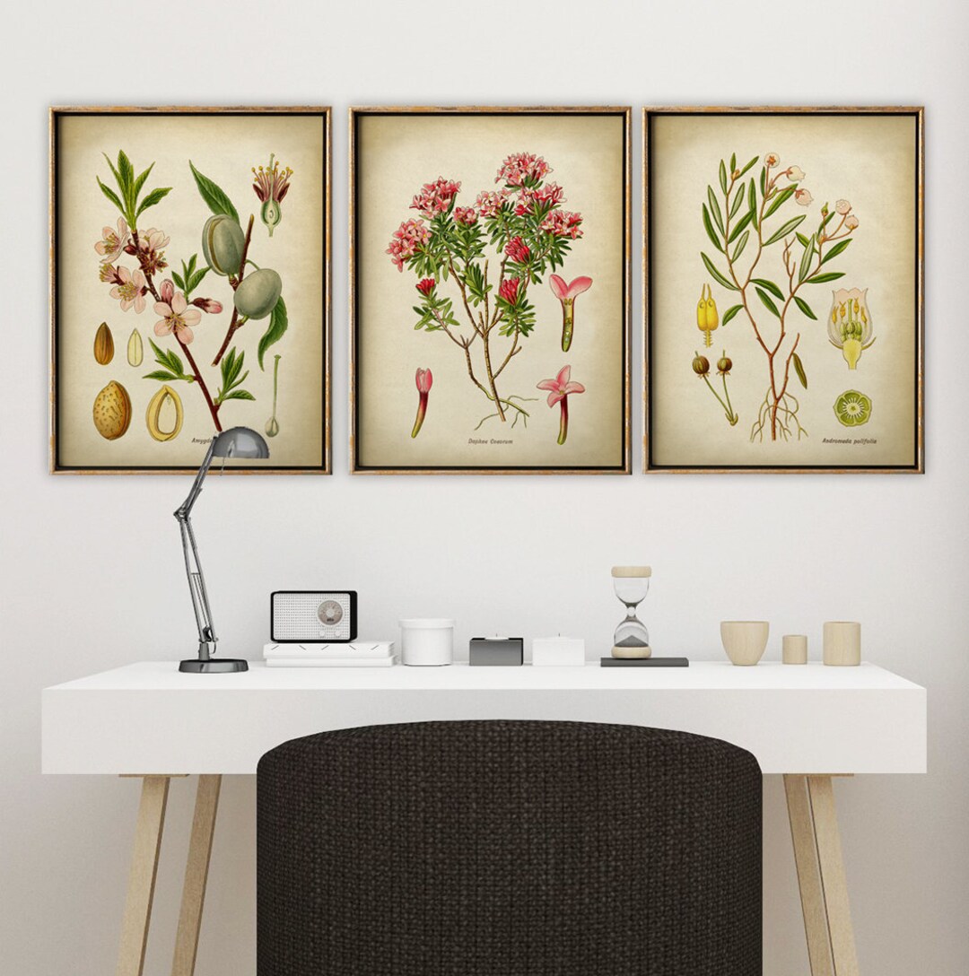 Botanical Print Set of 3, Botanical Set, Flower Print Set of Mountain ...
