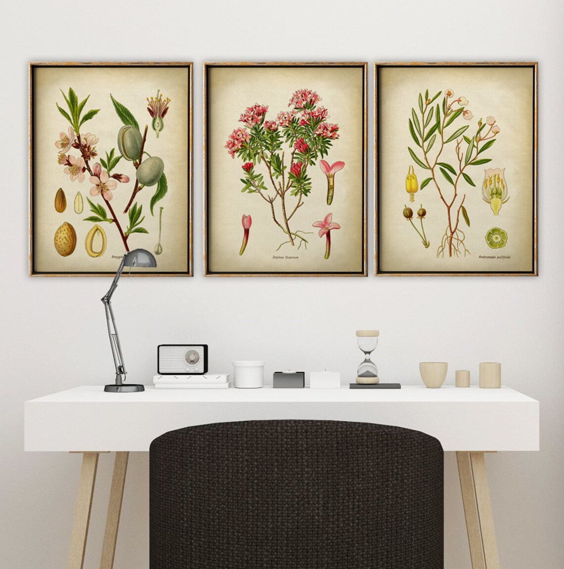 Botanical Print Set of 3 Botanical Set Flower Print Set of - Etsy