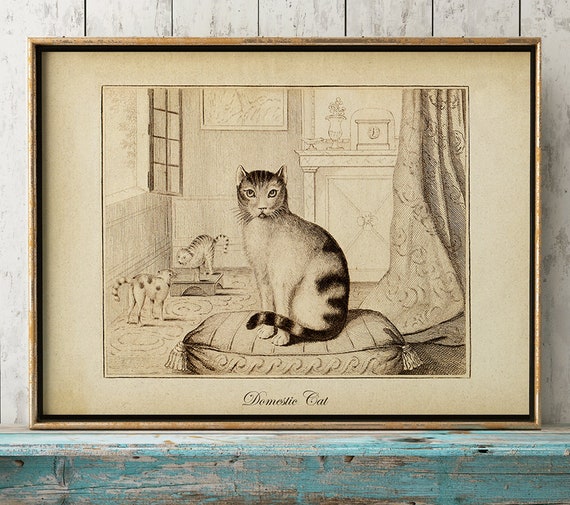 DOMESTIC Cat Print Lovely Vintage Style Cat Poster Cat | Etsy