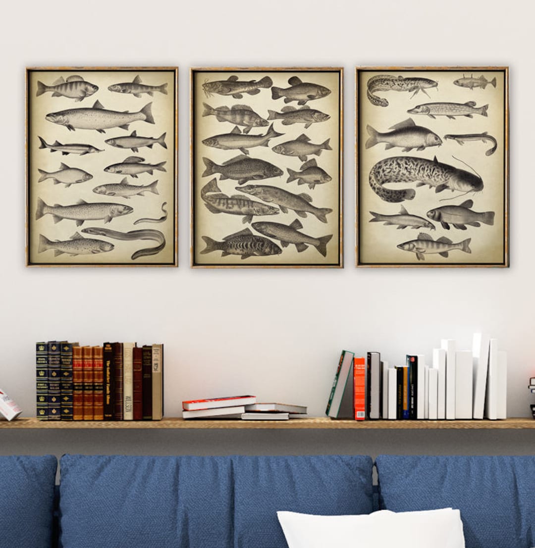 FISH PRINT SET 3, Fishes Set Poster, Fish Poster, Coastal Wall Decor ...