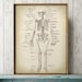 Anatomy Print Set of 3, Anatomical Poster, Skeleton Chart, Human Body ...