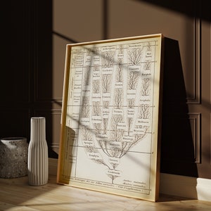 EVOLUTION TREE CHART Print, Tree of Live Art Poster, Phylogenetic Tree ...